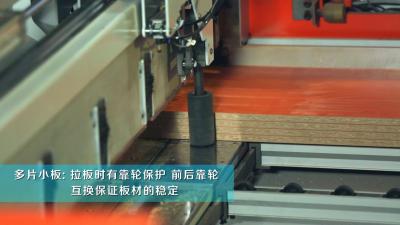 China 22kw Table Panel Saw Woodworking Machine Automatic Panel Saw Machine for sale