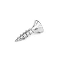 China Self Tapping Metal Screws with 0.001 Thread Pitch and 0.001 Thread Diameter for sale