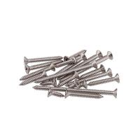 China TOBO Self Tapping Metal Screws with 0.001 Thread Diameter and Fully Threaded Coverage for sale