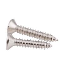 China TOBO Self Tapping Metal Screws with 0.001 Thread Diameter and Fully Threaded Coverage for sale