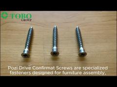 Watch: 1000 Quantity Metal Fastener Screws with Customization Thread Length Showcase