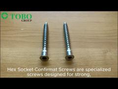 A Closer Look: Hex Socket Duplex stainless steel Polished Right Hand Thread 100pcs Pack