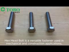 A Closer Look: 100pcs Hex Head Bolts with Hex Socket Drive Type for Heavy-Duty Applications