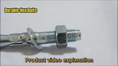 Hex Head Bolts