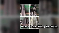 Heavy Duty Super Duplex Lifting Eye Bolts M10