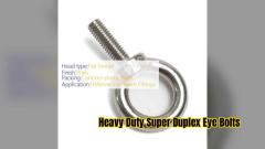 Super Duplex M10 Eye Bolts Marine Grade Rigging Hardware