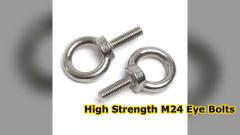 Super Duplex 2507 M24 Eye Bolts Heavy Duty Lifting Hardware