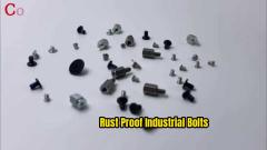 Stainless Steel Bolts