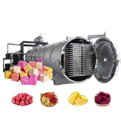 China Full Automatic Customized Food Grade Vacuum Lyophilizer with 5 Years Warranty Freeze Dry Machine for sale