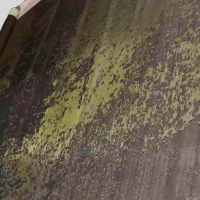 中国 染色色ガラス 層状のワイヤ網 建物の玄関用 販売のため