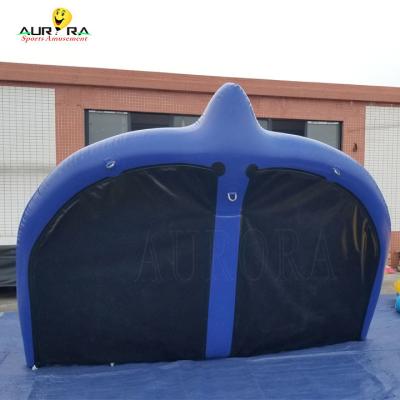 China Inflatable Flying Manta Ray Tube PVC Tarpaulin 2 Person Towable Water Sports for sale