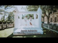 Inflatable Jumping Bouncer Castle Combo Household Party Inflatable Bounce House
