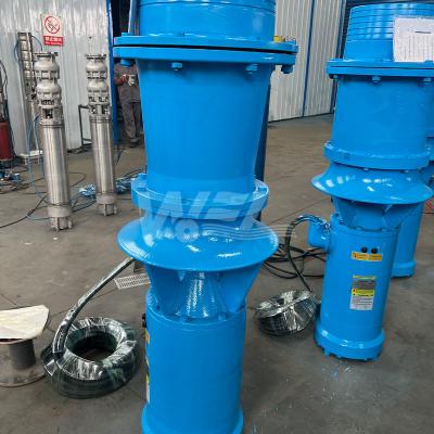 China Submersible axial flow pump and mixed flow pump with 300m³/h-48060m³/h flow range in cast iron or stainless steel and 7.5kw-800kw motor power for sale