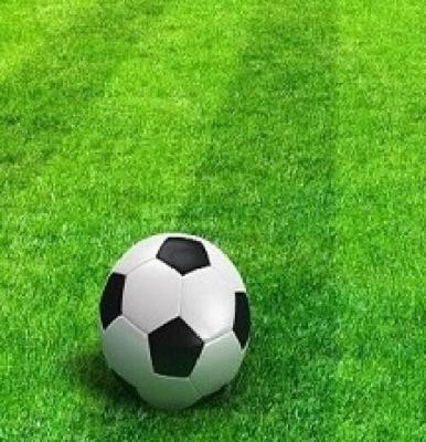 China low price top quality 50mm height 11000 Dtex green Football artificial turf/ Synthetic grass or lawn for sale