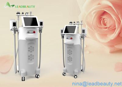 China Five Big heads Wind + water + semiconductor cooling cryolipolysis slimming machine for sale