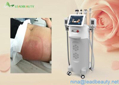 China Cryo/Ultrasound/RF heads Multi-functional Cryolipolysis weight reduction beauty machine for sale