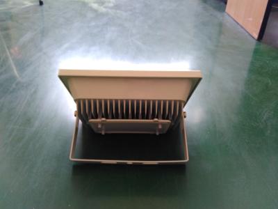 China 100 watt Floodlight series white body warm white CE& ROHS approved for sale
