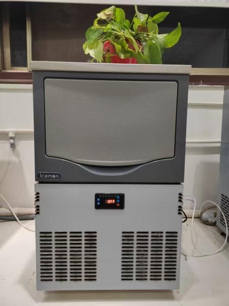 Quality ICH-100 Cheap Price Automatic Heart Shape Ice Maker Stainless Steel Ice Making for sale