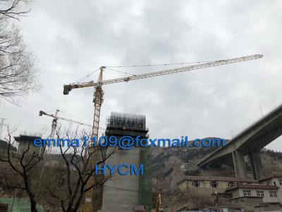China Hot 8tons TC6013 Hammer Head Tower Crane 60m Jib L46A Mast use Less Containers In Africa for sale
