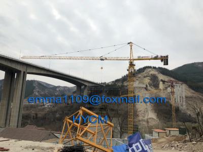 China Hot 8tons TC6013 Hammer Head Tower Crane 60m Jib L46A Mast use Less Containers In Africa for sale