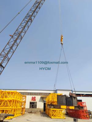 China 10tons D3023 Derrick Crane to Dismantle Internal Climbing Type Tower Crane for sale