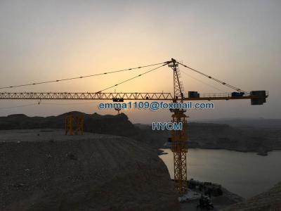 China QTZ6520 grúas torre de la cima de la escalada 65m de trabajo longitud de jib con la cabeza en venta