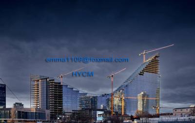 China Job Ready Tower Crane  215 feet 65 meter Jib 10 ton Capacity 2ton at the tip for sale