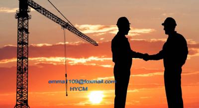 Cina TC6520 Top Girante Torre gru 160 piedi torre potrebbe spedizione a Halifax in vendita