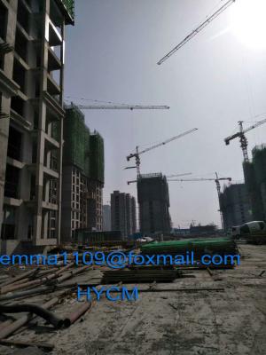 Cina 8 tonnellate di carico Cat Head Tower Crane TC6513 Nuovo modello 65mts Working Boom in vendita