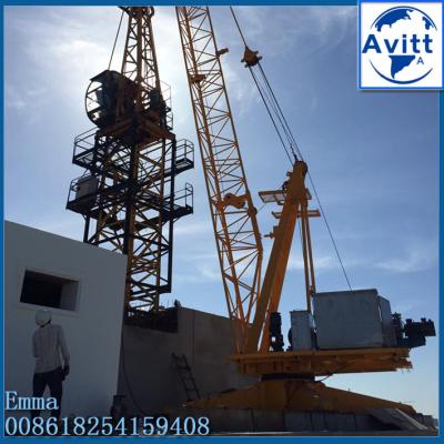 China 15m Working Boom 3tons Lifting Derrick Crane Dismantle Inner Tower Crane for sale
