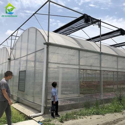 China Hot Dip Galvanized Steel Frame Multi Span Greenhouse For Tomatoes And Cucumbers for sale