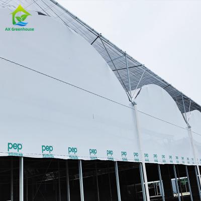 China Multi Sapn Balckout Light Deprivation Greenhouse For Mushroom Growing for sale