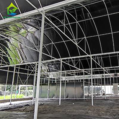 China Multi Sapn Balckout Light Deprivation Greenhouse For Mushroom Growing for sale