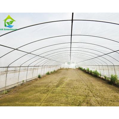China Commercial Single Span Poly Tunnel Greenhouse For Tomatoes for sale