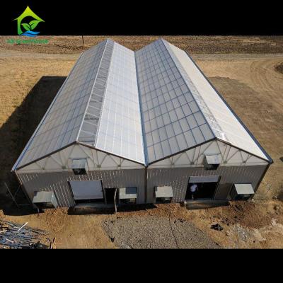 China Polycarbonate Sheet Cover Light Deprivation Greenhouse For Commercial Growing Hemp for sale