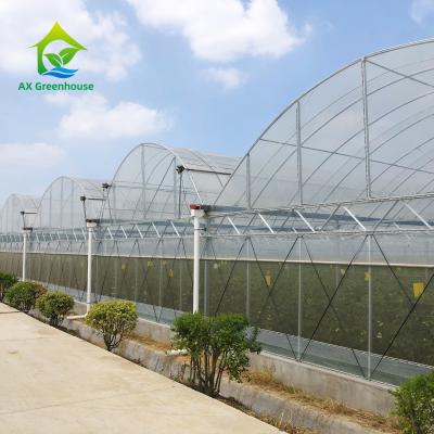 China Plastic de Systemen Multispanwijdte van de Blad Hydroponic Serre Te koop