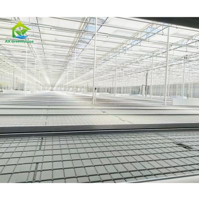 China Ebb And Flow Vertical Grow Rack System Rolling Bench Flood Table for sale