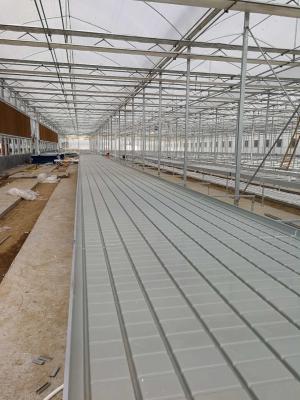 China Ebb And Flow Greenhouse Rolling Bench For Seeding Vertical Grow for sale