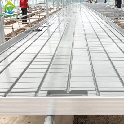 China Ebb Flow Hydroponic Mobile Hydroponic Soilless Culture Grow Tables Rolling Bench For Seedling for sale