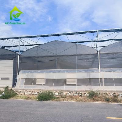 중국 그림자 망과 함께 상업 농업 멀티 스판 플라스틱 필름 온실 판매용