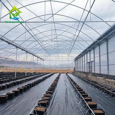 China Op maat gemaakte raam Plastic Film Landbouw Poly Tunnel Multi-span kas Te koop for sale