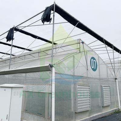 China Windbestendige plastic PE-folie Commerciële poly-tunnel kas voor het planten van fruit for sale