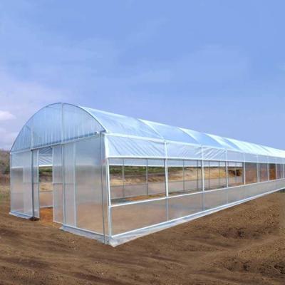 China Windbestendige plastic PE-folie Commerciële poly-tunnel kas voor het planten van fruit for sale