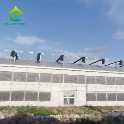 China Multi Span Tropical Metal Frame Structure Tomato Poly Tunnel Greenhouse For Fruits Vegetables for sale