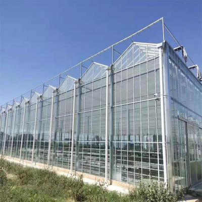 China Polycarbonaat Multi Span Venlo PC Plaat Tomaten Kas Met Irrigatiesysteem for sale