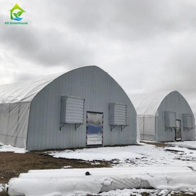 중국 약초 재배 자동 블랙아웃 온실 빛 부족 버섯 판매용