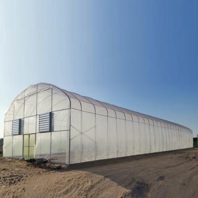 Cina Economia di alta qualità Film di plastica monofilamento Tenda di coltivazione Serra per ortaggi in vendita