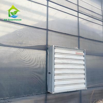 China Tropical Plastic Film UV Resistant Multi Span Tomato Greenhouse With Insect Net for sale
