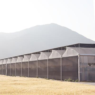 중국 토마토 재배 멀티 스판 폴리 터널 플라스틱 필름 온실 농장 장비 판매용