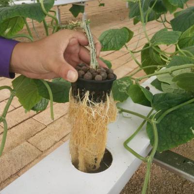 China Horticulture Circular Tube Soilless Culture Hydroponic NFT Channel Grow Systems For Grow for sale